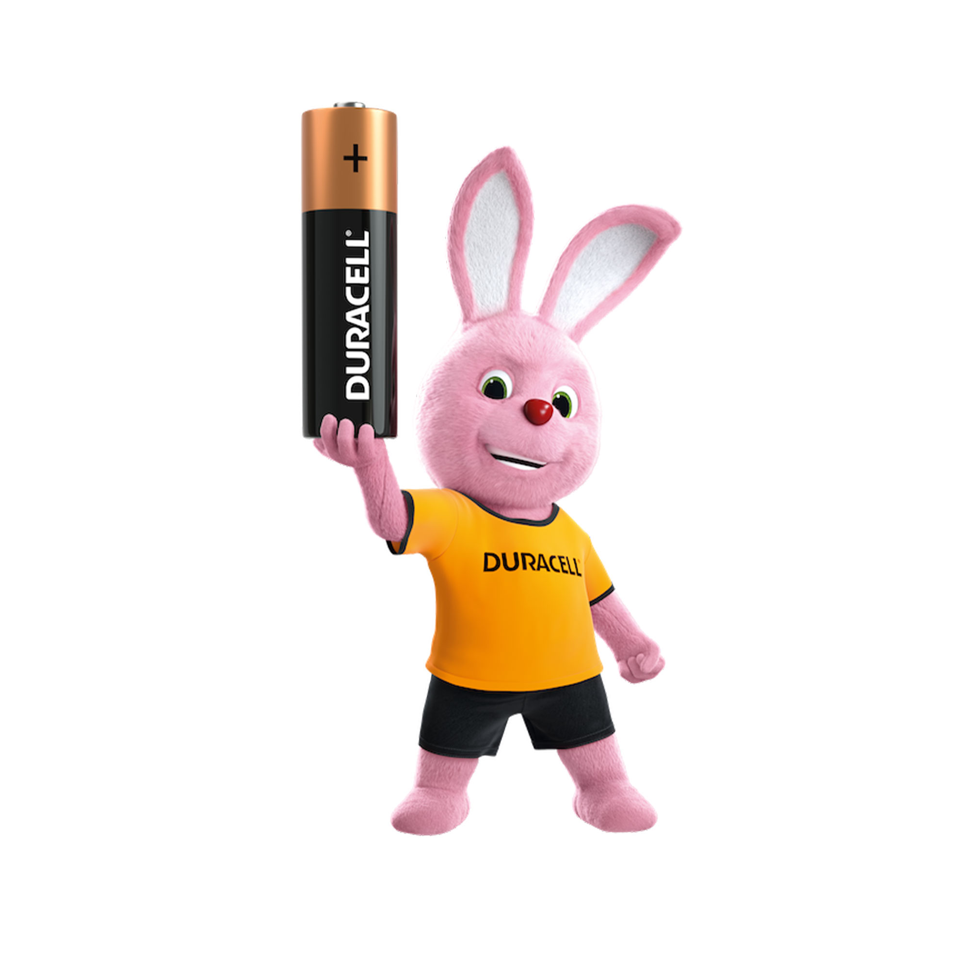 Duracell: Web Design & Development By Bluestone98