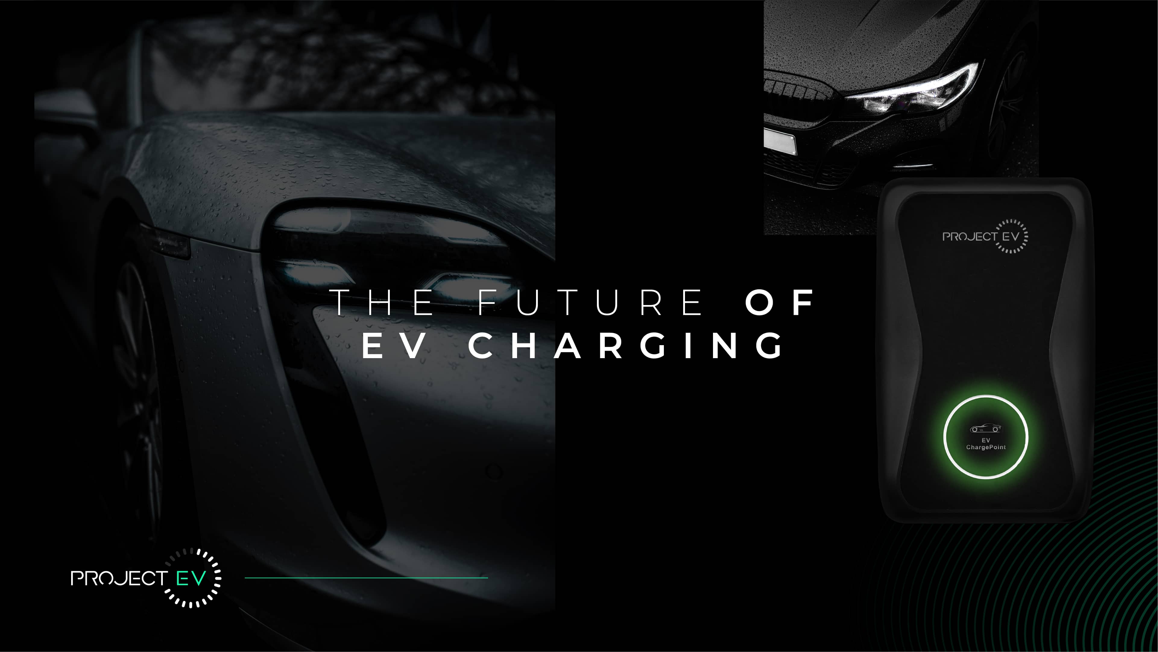 Project EV: Web Design & Branding By Bluestone98