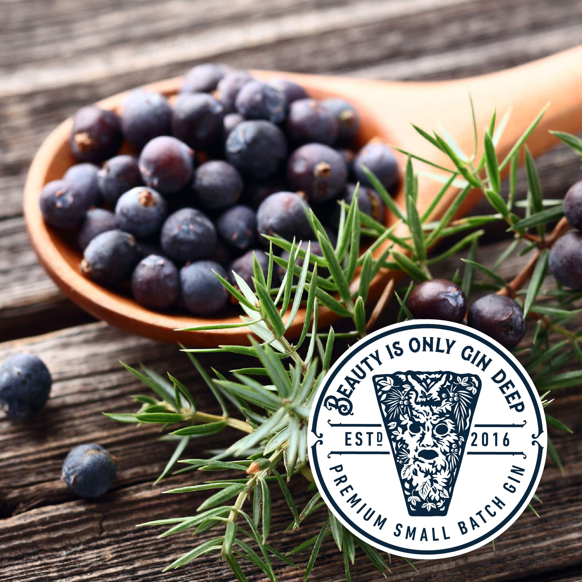 Sing Gin: Web Design & Branding By Bluestone98