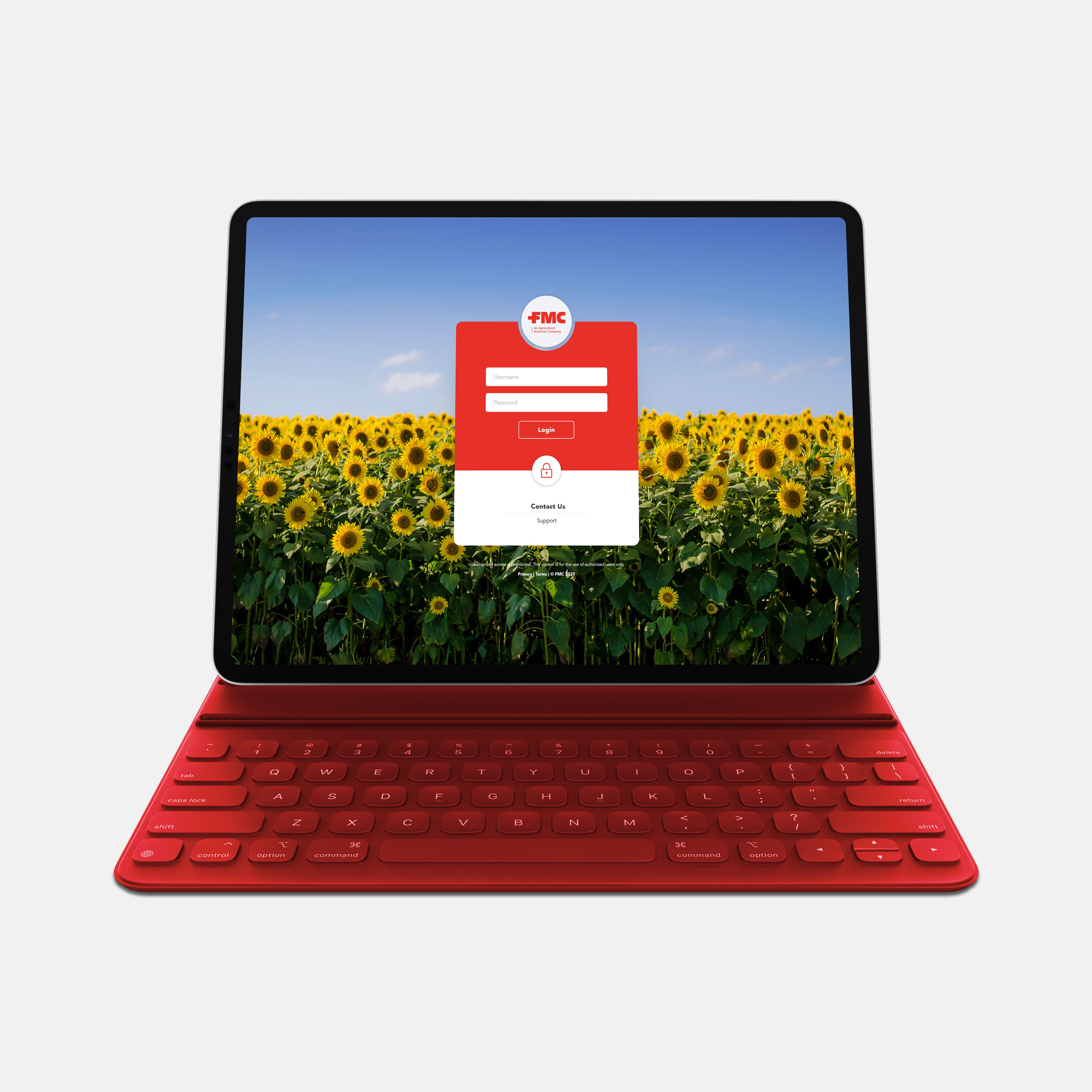 FMC Argo: Web Design & Branding By Bluestone98