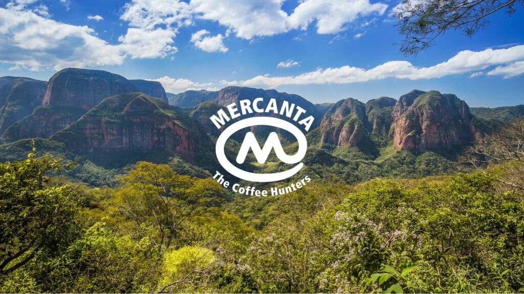 Mercanta: Web Design & Development By Bluestone98