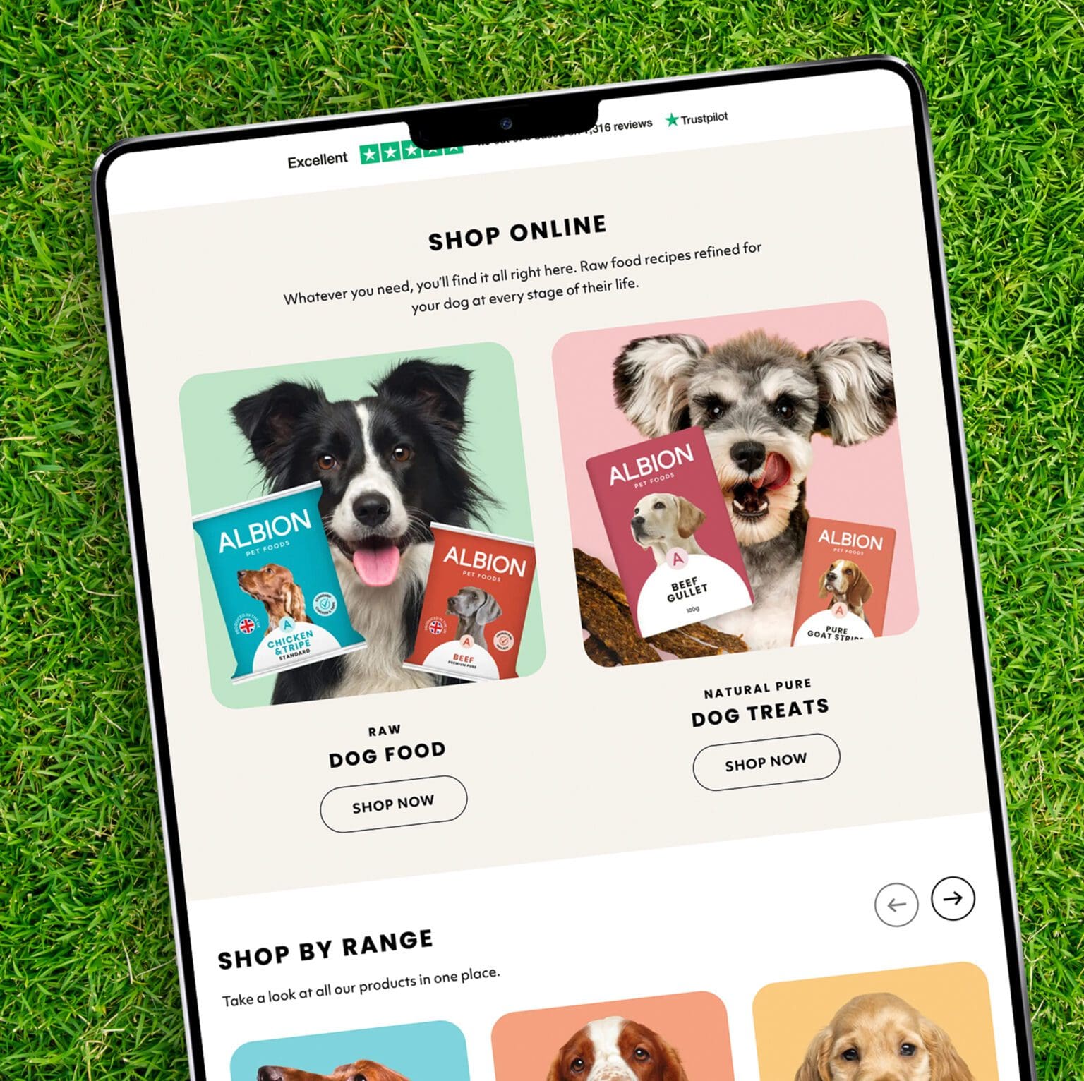 Albion Pet Foods: Web Design & Branding By Bluestone98