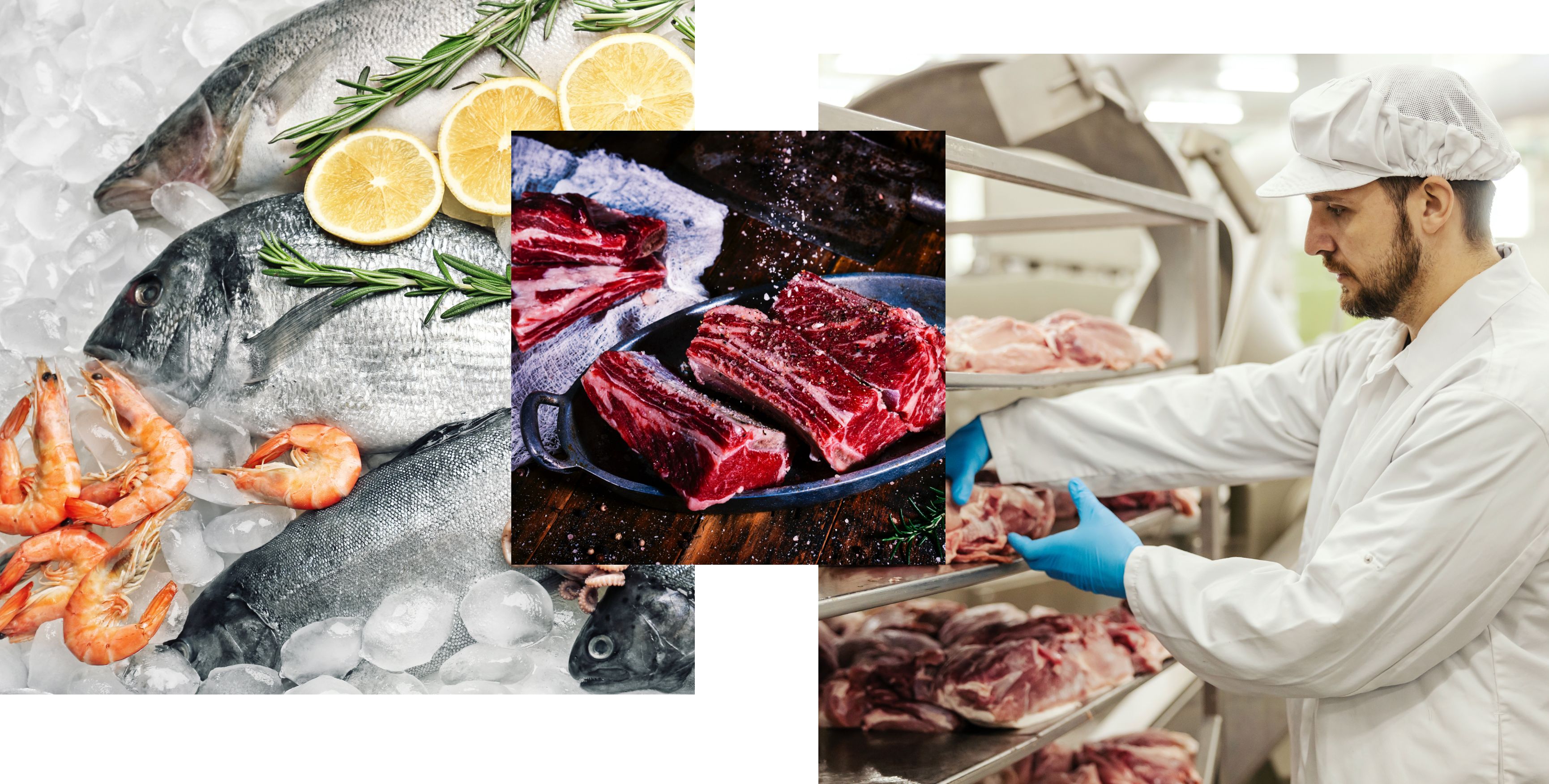 Myton Food Group - Wm Morrisons Supermarket | Bluestone98